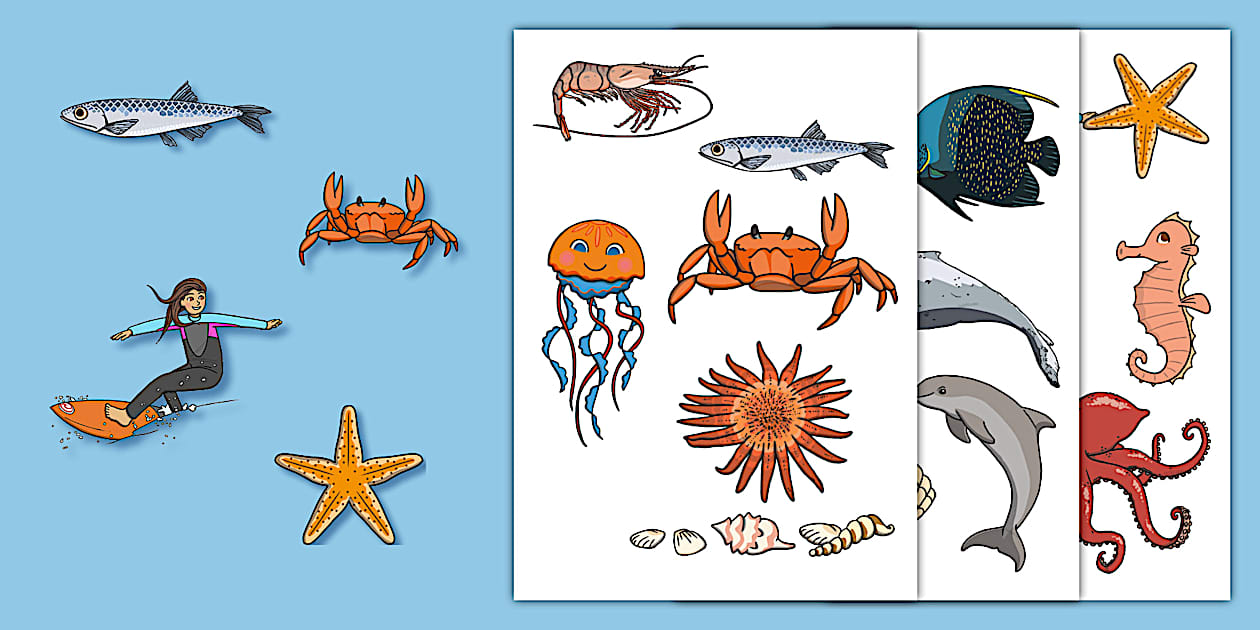 FREE! - Dibujos de animales del mar peruano | Twinkl