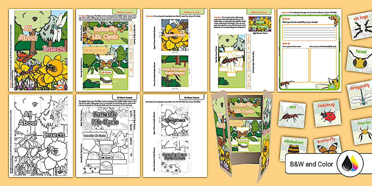 Kindergarten All About Insects Trifold File Folder Activity