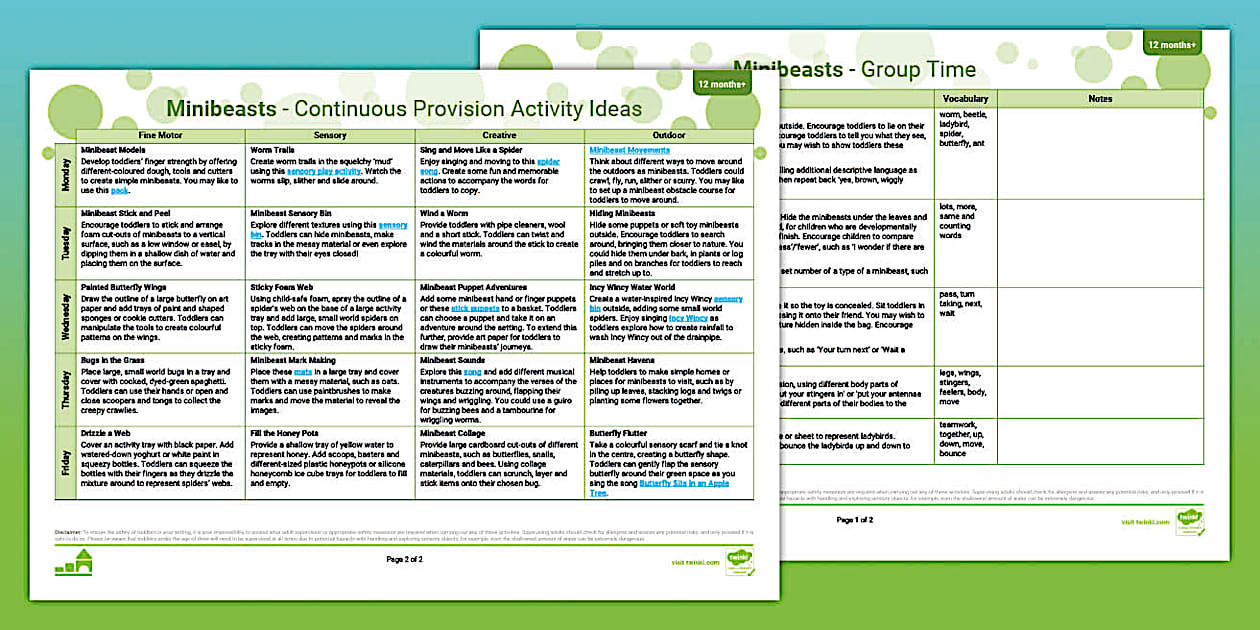 EYFS Toddler Room Planning: Minibeasts | Planning | Twinkl