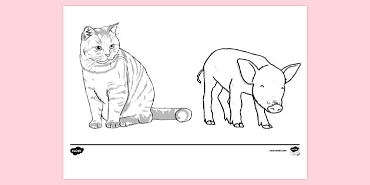Cat and Pig Colouring Sheet | Twinkl Resources - Twinkl