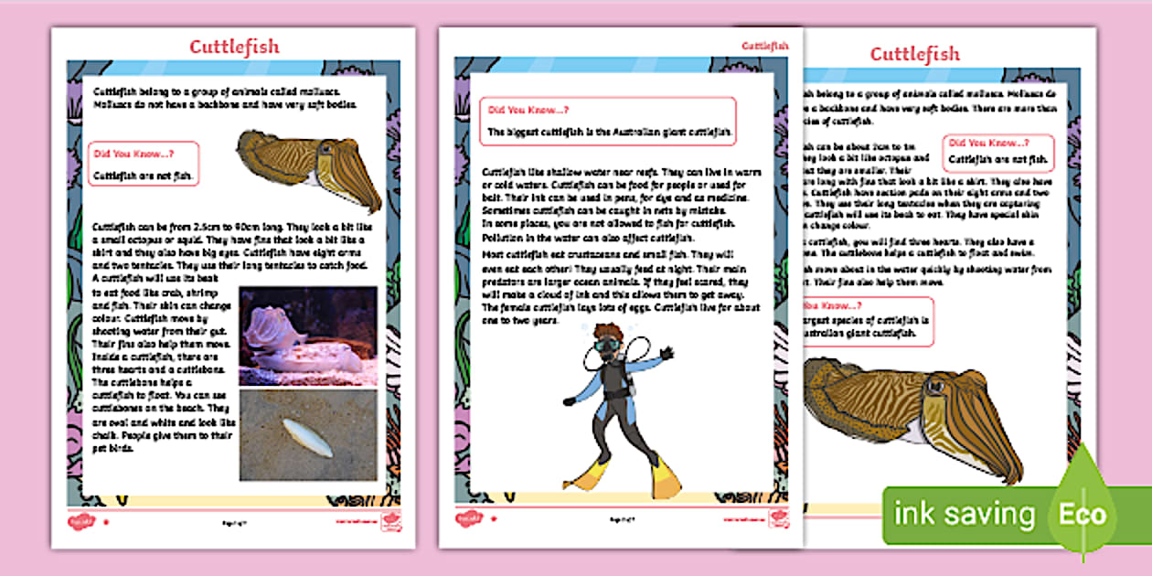 Cuttlefish Differentiated Fact File | Twinkl (teacher made)