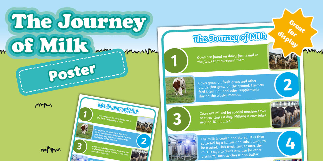 The Journey of Milk Poster - KS1 - Twinkl