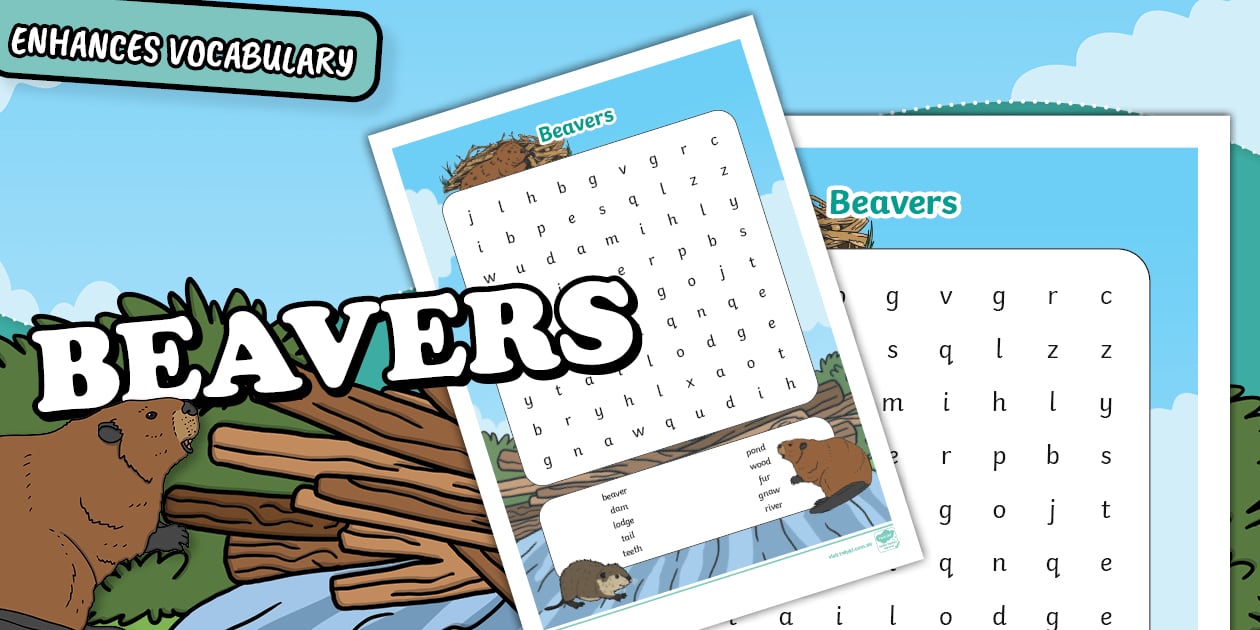 Beavers Word Search - Twinkl Australia