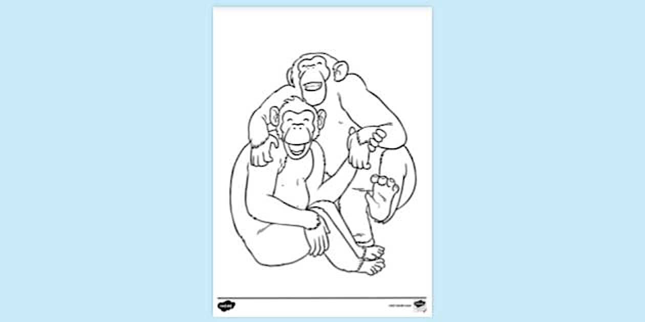 Chimpanzee Colouring l Colouring Sheet (teacher made)