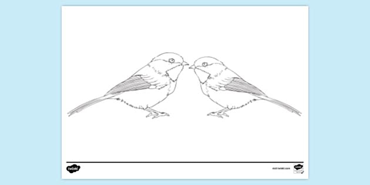 Love Birds Colouring Page | Colouring Sheets (teacher made)
