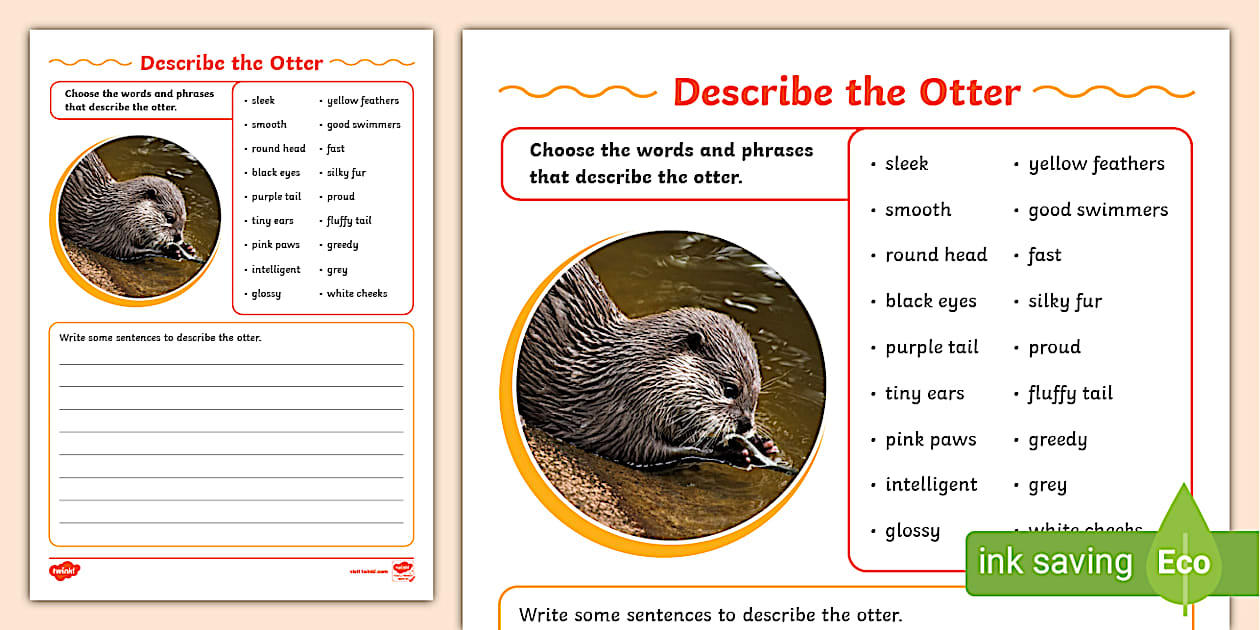Describe the Otter Writing Activity,otter (teacher made)