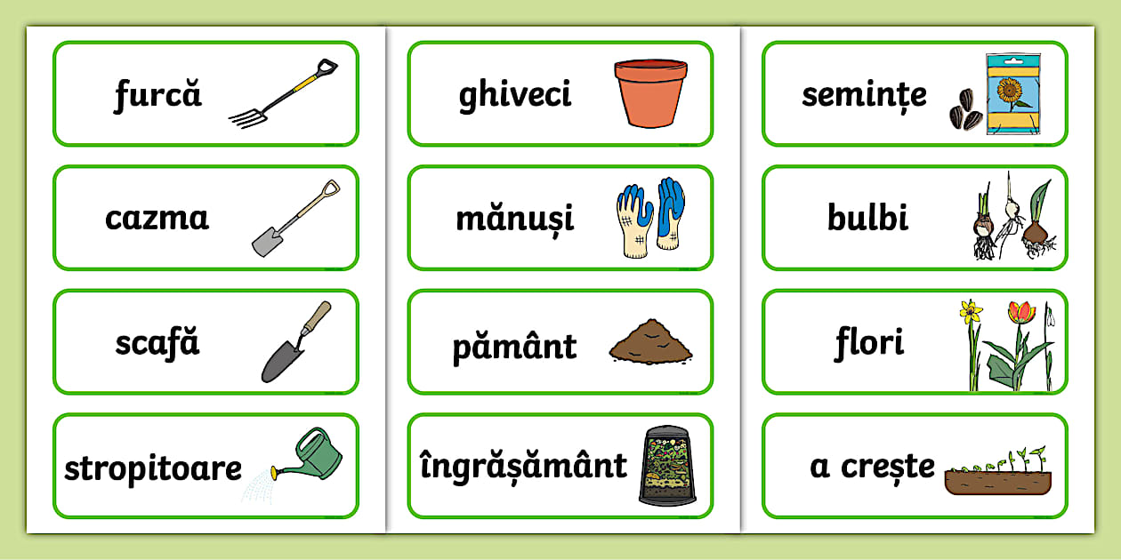 Micii grădinari – Cartonașe cu vocabular