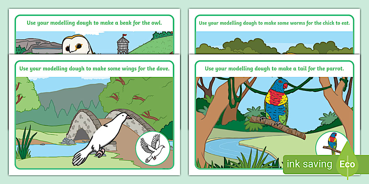 Bird Modelling Dough Mats (teacher made) - Twinkl