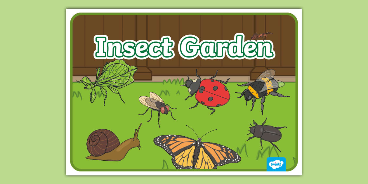 Insect Garden Sign (teacher made) - Twinkl