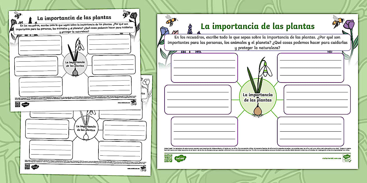 Mapa mental: La importancia de las plantas