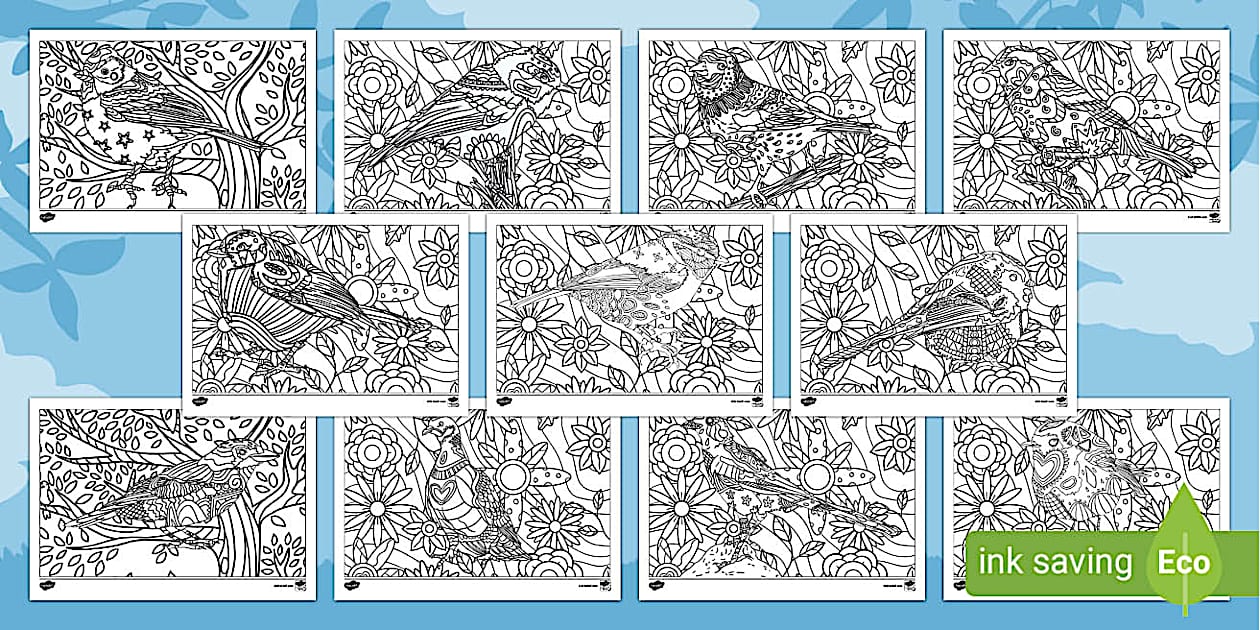 British Garden Birds Mindfulness Colouring Activity Pack