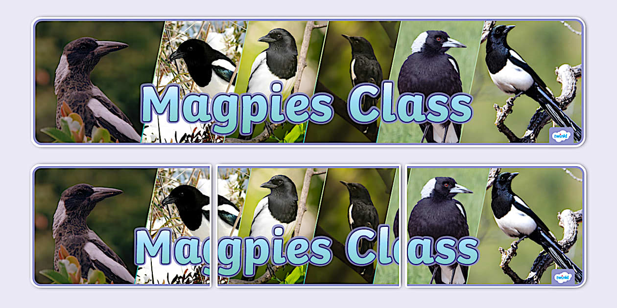 Magpies Class Photo Display Banner (Teacher-Made) - Twinkl