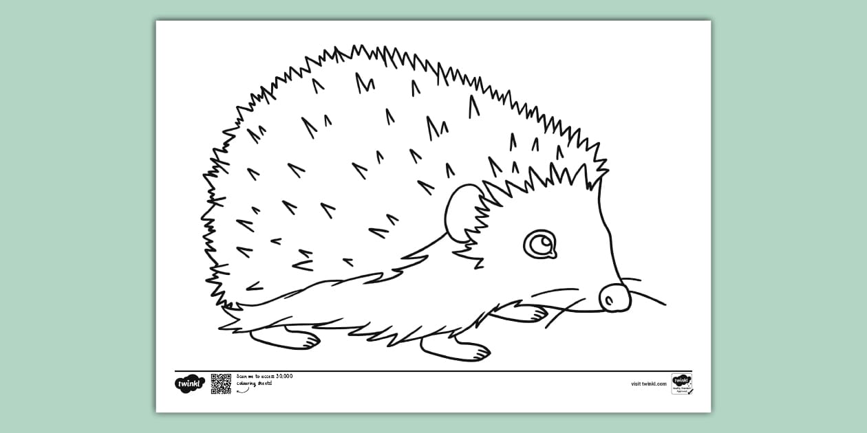 Hedgehog Colouring Page To Print | Colouring Sheets - Twinkl
