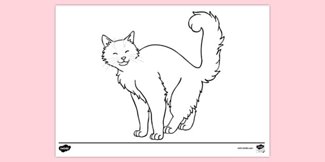 Cat Colouring Page | Colouring Sheets (teacher made)