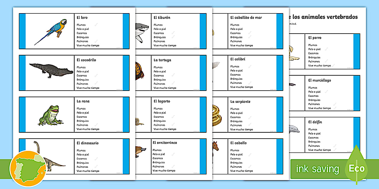 clasificacion de los vertebrados Tarjetas de emparejar