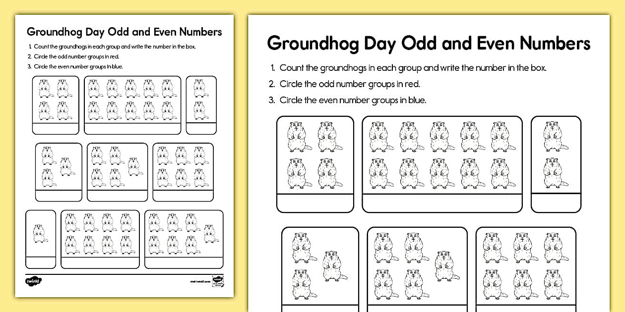 Groundhog Day Math Worksheet for Kids | Twinkl USA - Twinkl