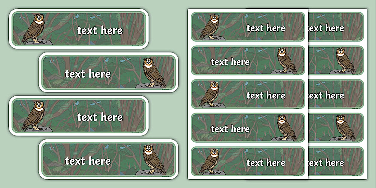 👉 Owl Class Tray Labels - (teacher made) - Twinkl