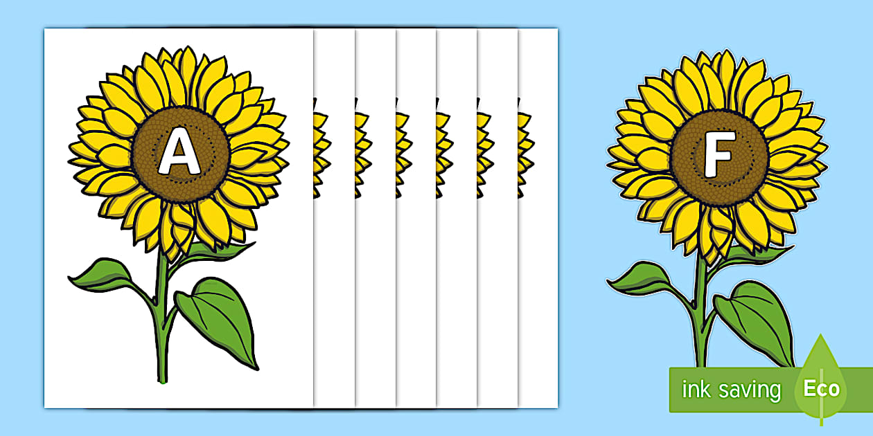 A-Z Alphabet on Sunflowers