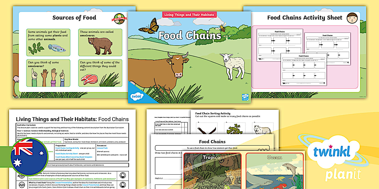 Year 1 Science Living Things Lesson 6 Food Chains - Twinkl