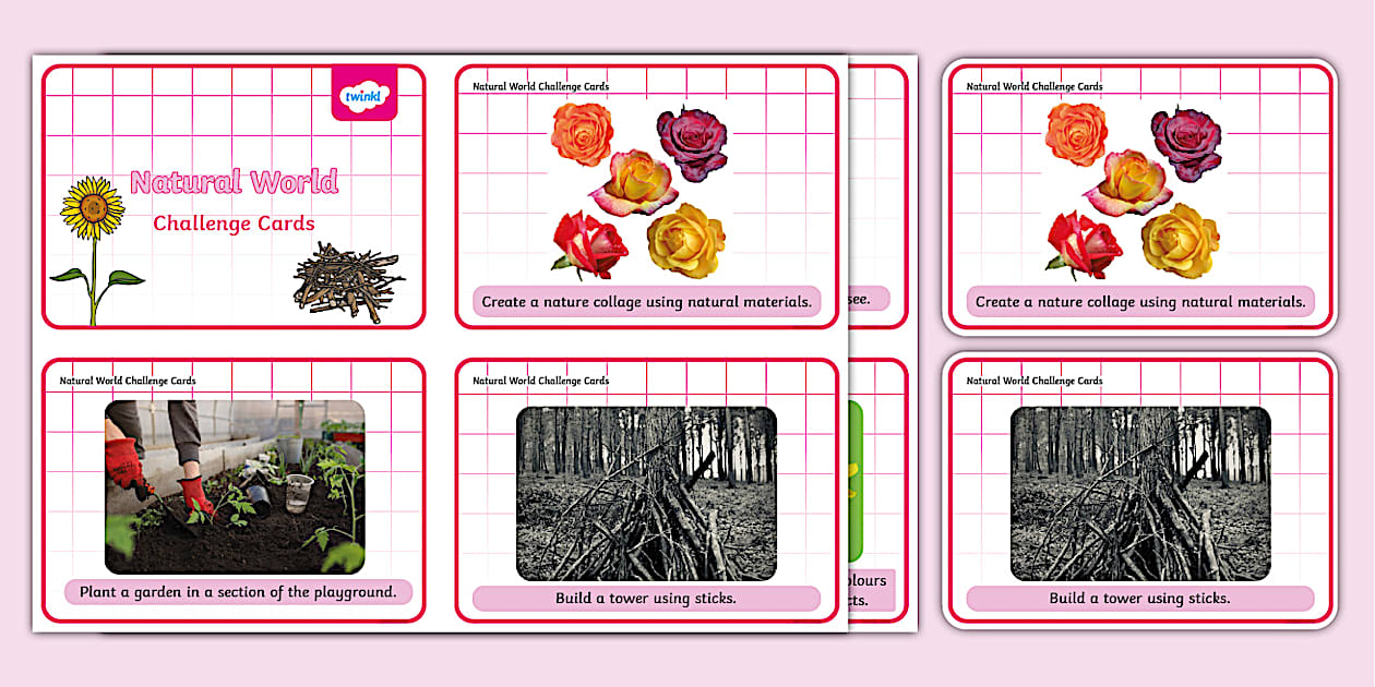 Natural World Challenge Cards (teacher made) - Twinkl