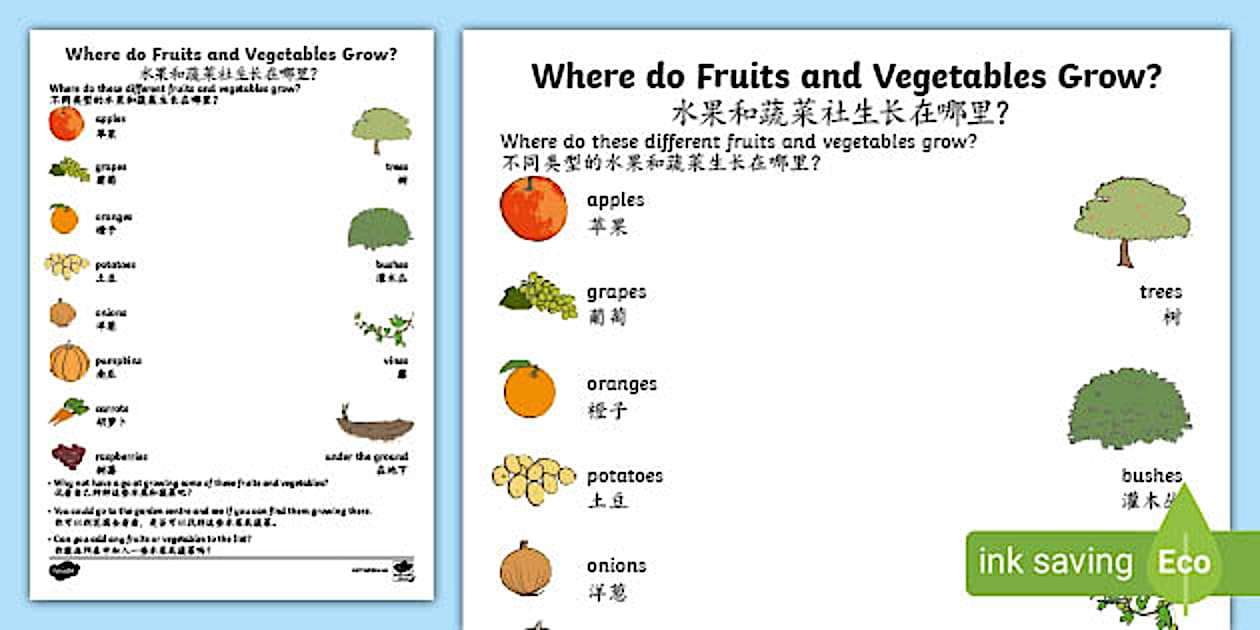 Where Do Fruits and Vegetables Grow? Worksheet - English/Mandarin Chinese