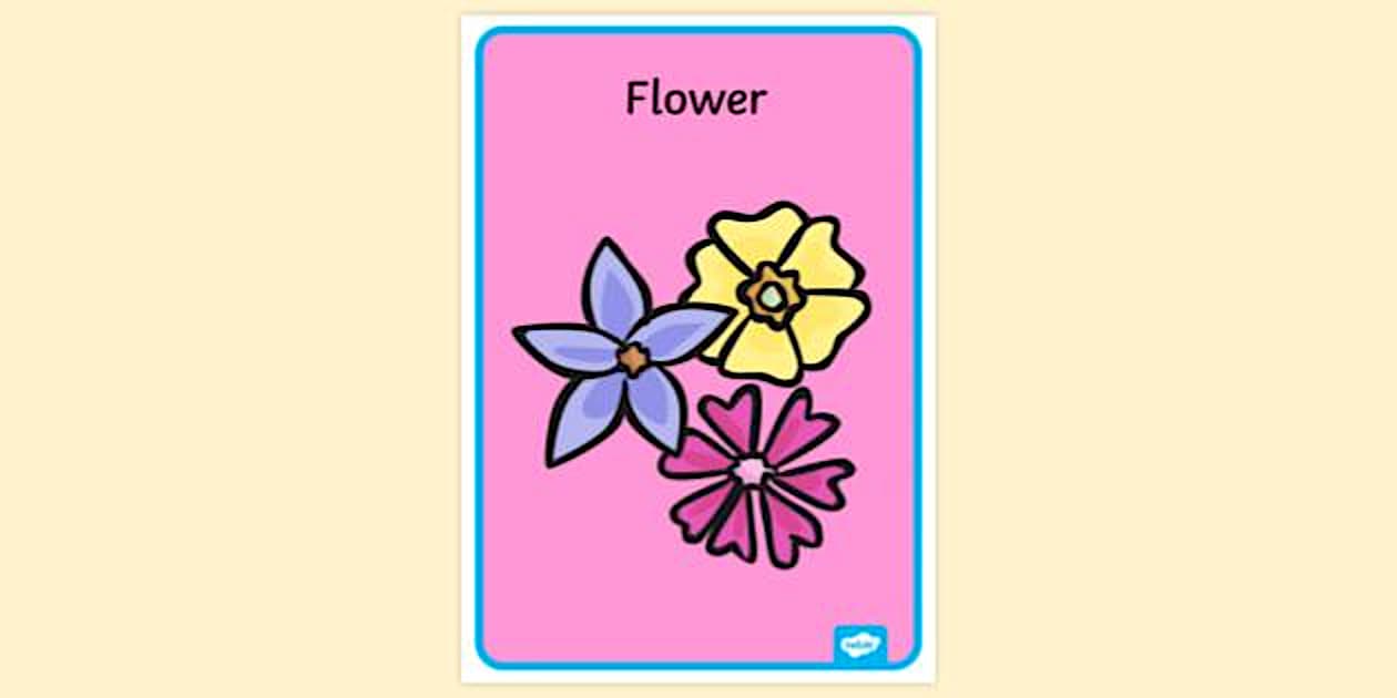 Printable Flower Poster Display Poster | Primary Resources
