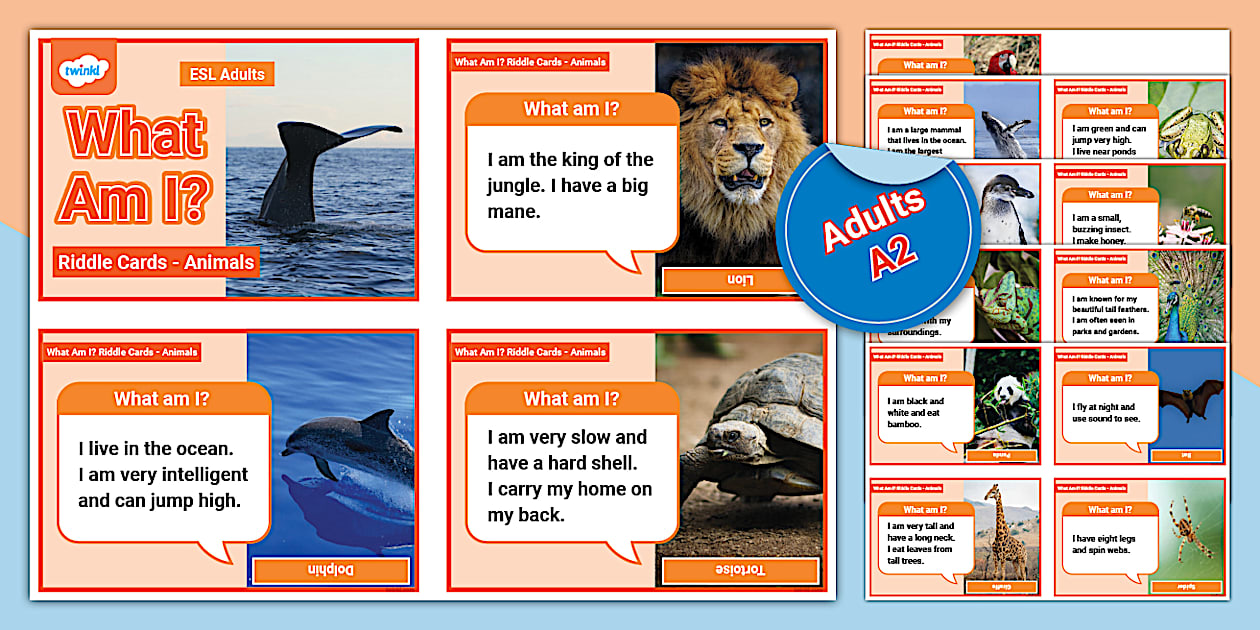 ESL What am I? Riddles (teacher made) - Twinkl
