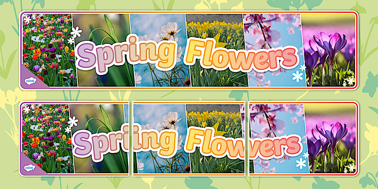 Spring Flowers Photo Display Banner (teacher made) - Twinkl