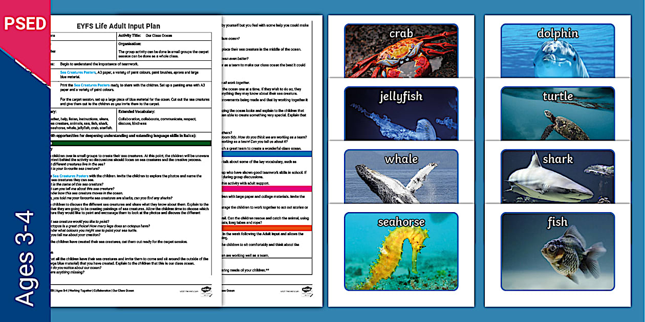PSED Our Class Ocean Adult Input Plan and Resource Pack
