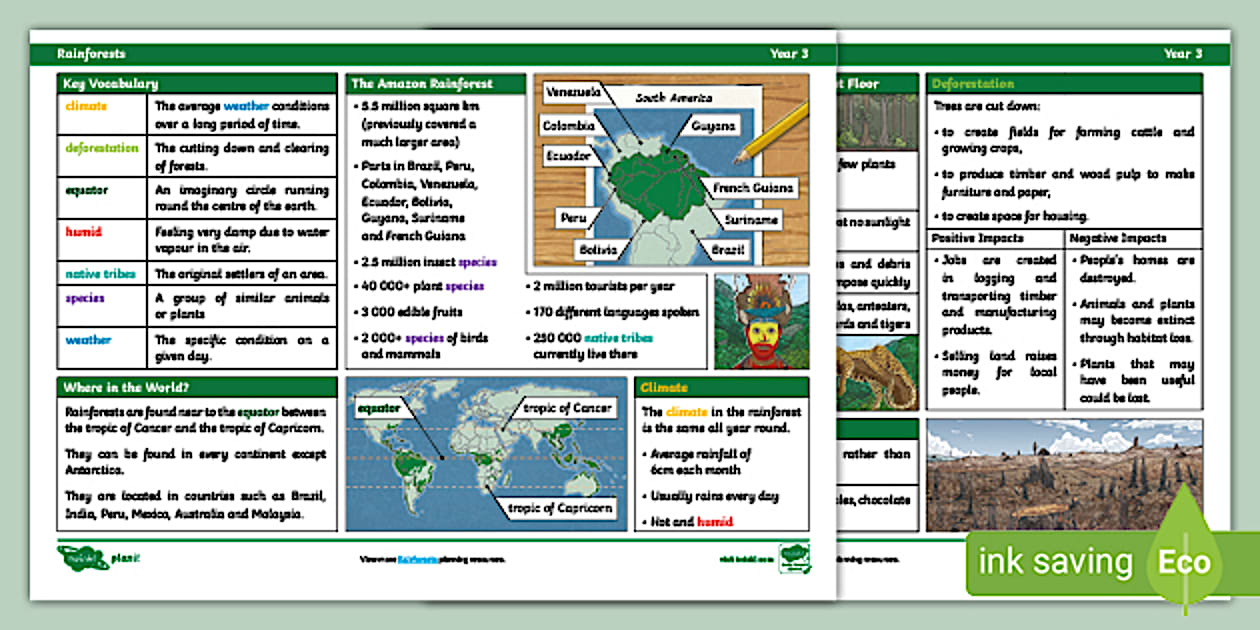 Geography Knowledge Organiser: Rainforests Y3 - Twinkl