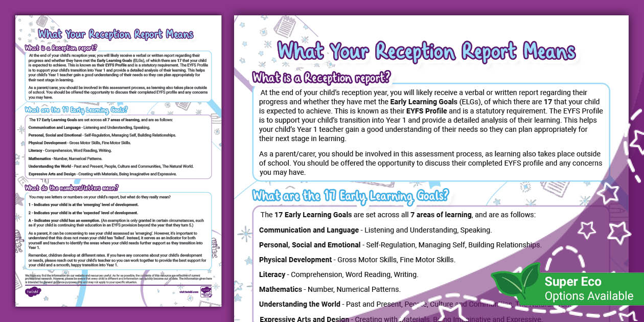 What Your Reception Report Means (Teacher-Made) - Twinkl