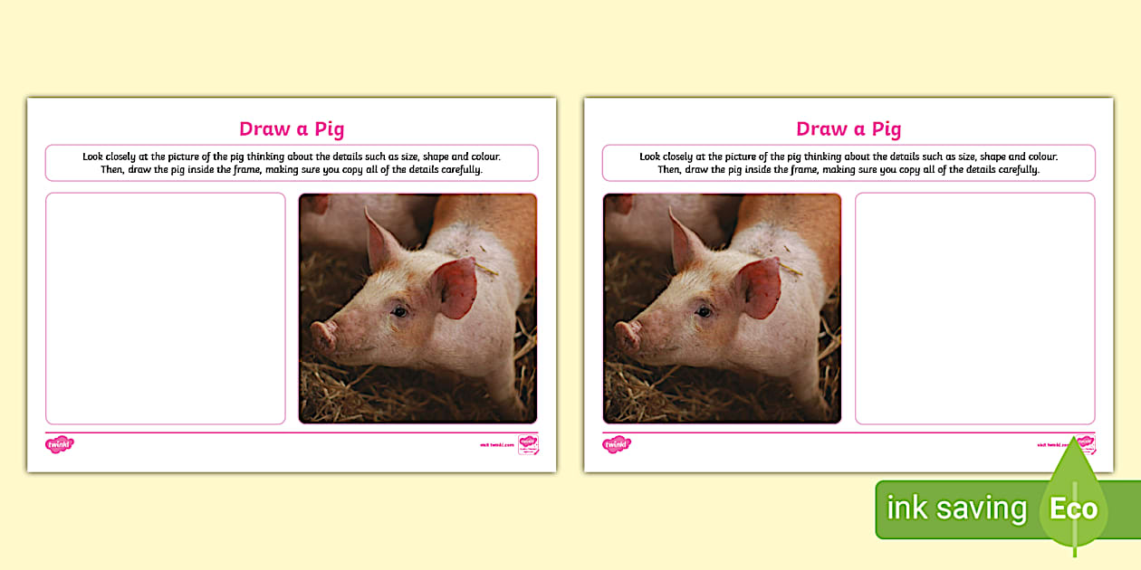 Draw a Pig Art Activity (teacher made) - Twinkl