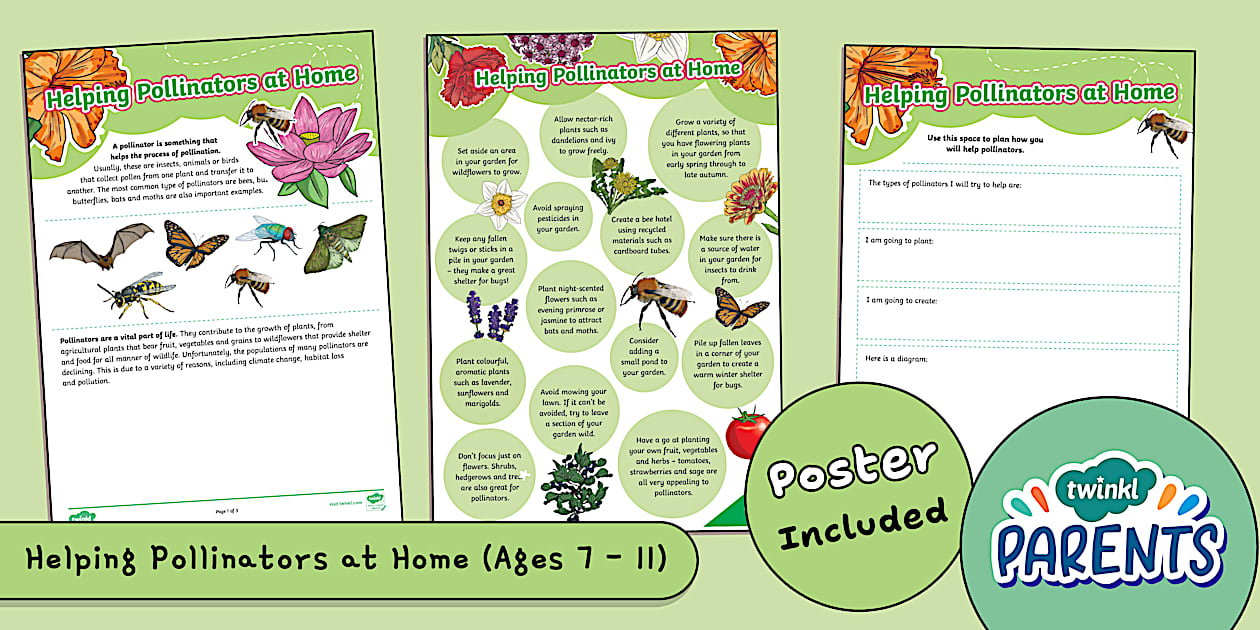 Wildlife-Friendly Activity Sheet for Kids