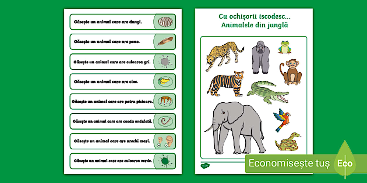 Cu ochișorii iscodesc: Animalele din junglă – Activitate