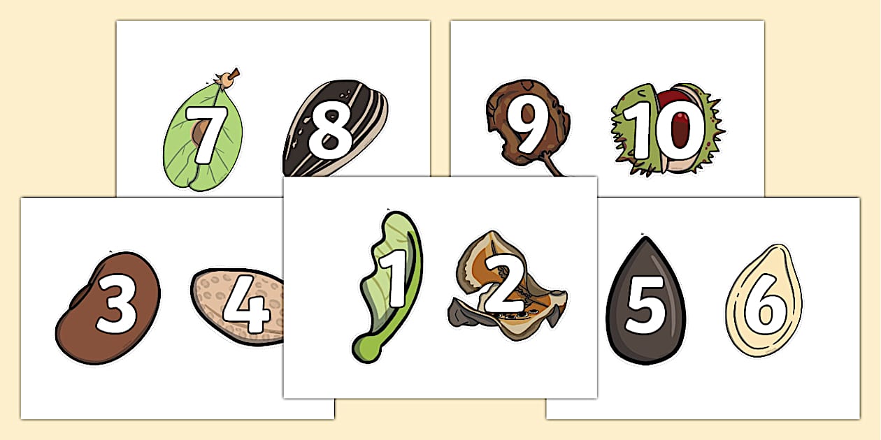 👉 Seed Number Display Cut-Outs (teacher made) - Twinkl