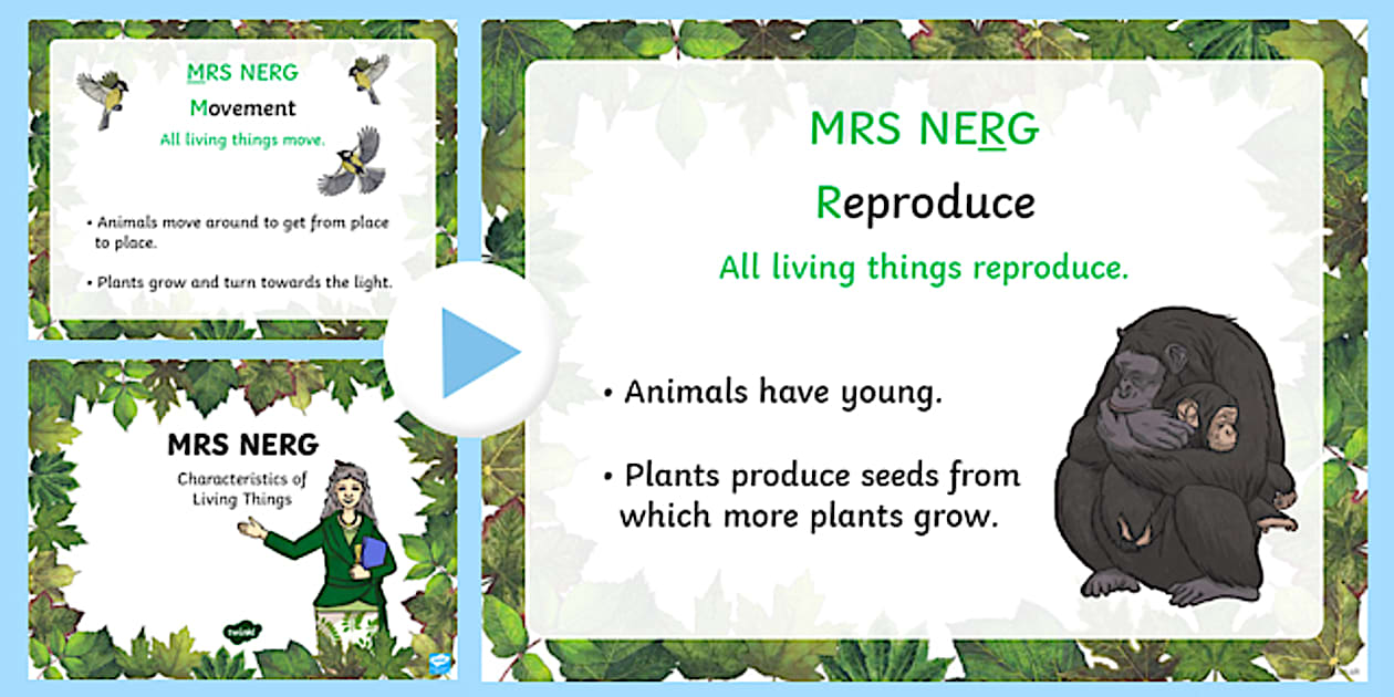 Mrs Nerg Characteristics of Living Things PowerPoint