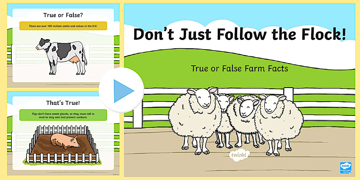 Don't Just Follow the Flock! True or False Farm Facts PowerPoint