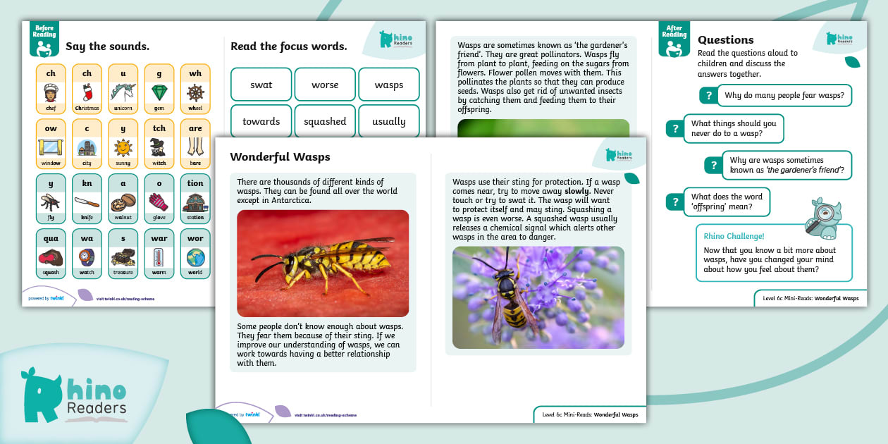 Rhino Readers Intervention: Wonderful Wasps (Level 6c)