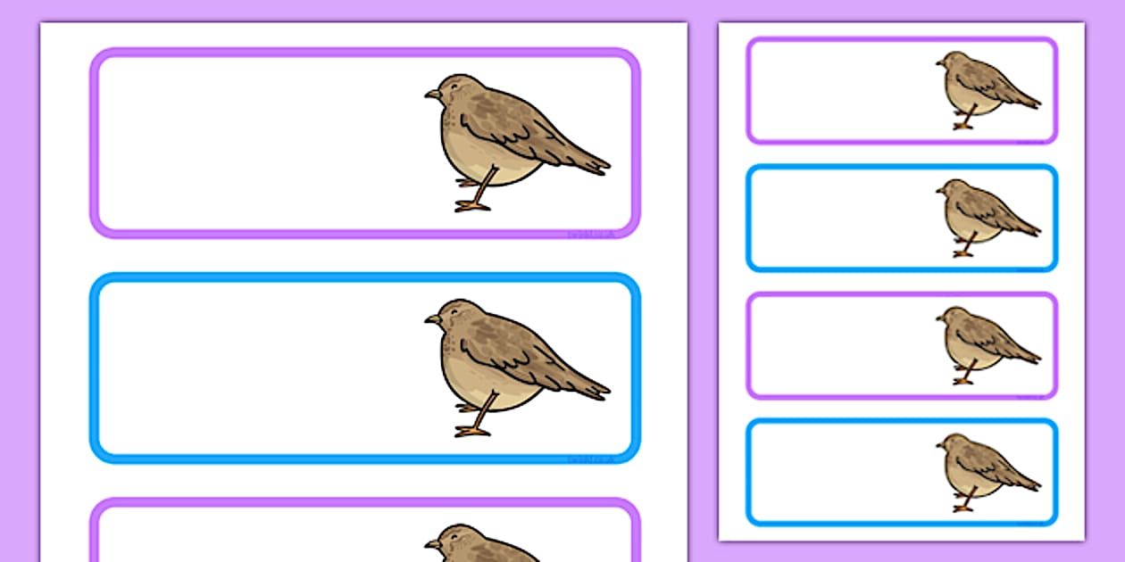 Black and White Skylark Themed Editable Drawer Labels