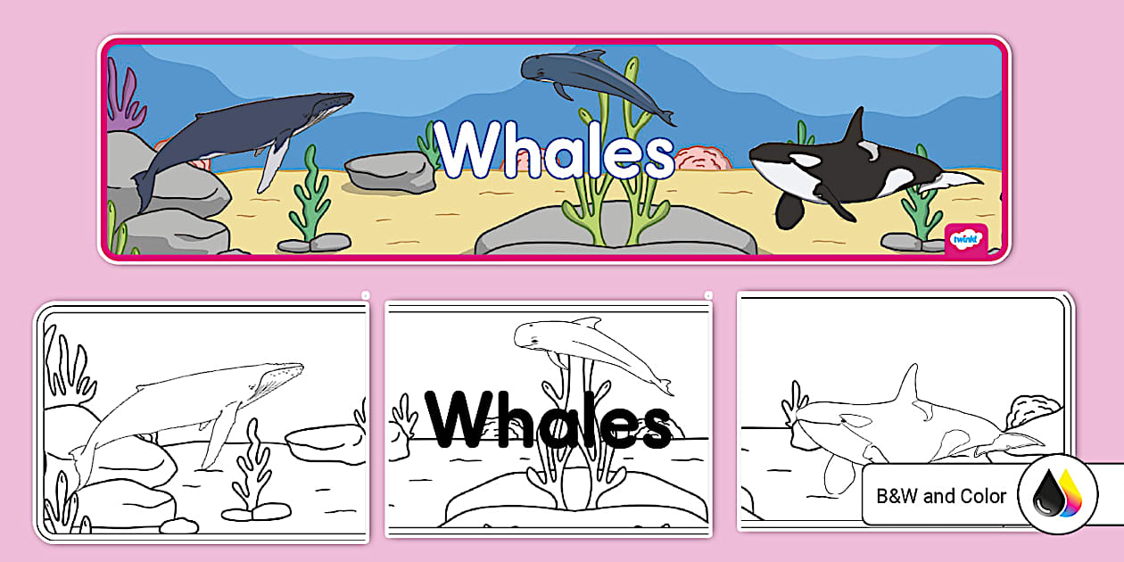 Whale Classroom Banner | World Ocean Day | Twinkl USA