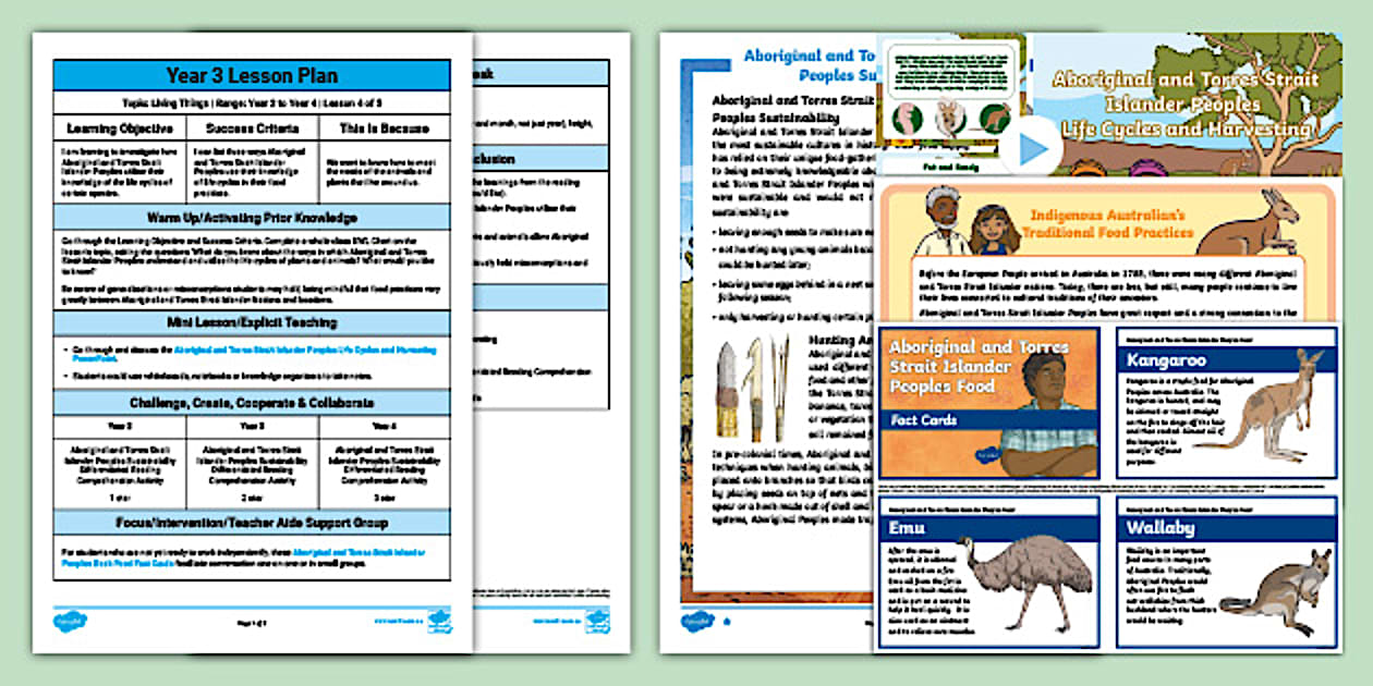 Year 3 Inclusion Living Things Differentiated Lesson Plan 4
