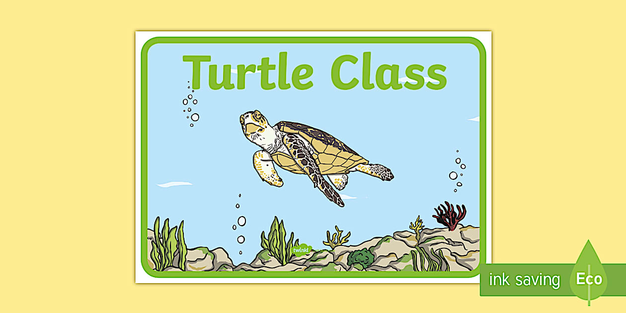👉 Turtle Class Display Posters (teacher made) - Twinkl