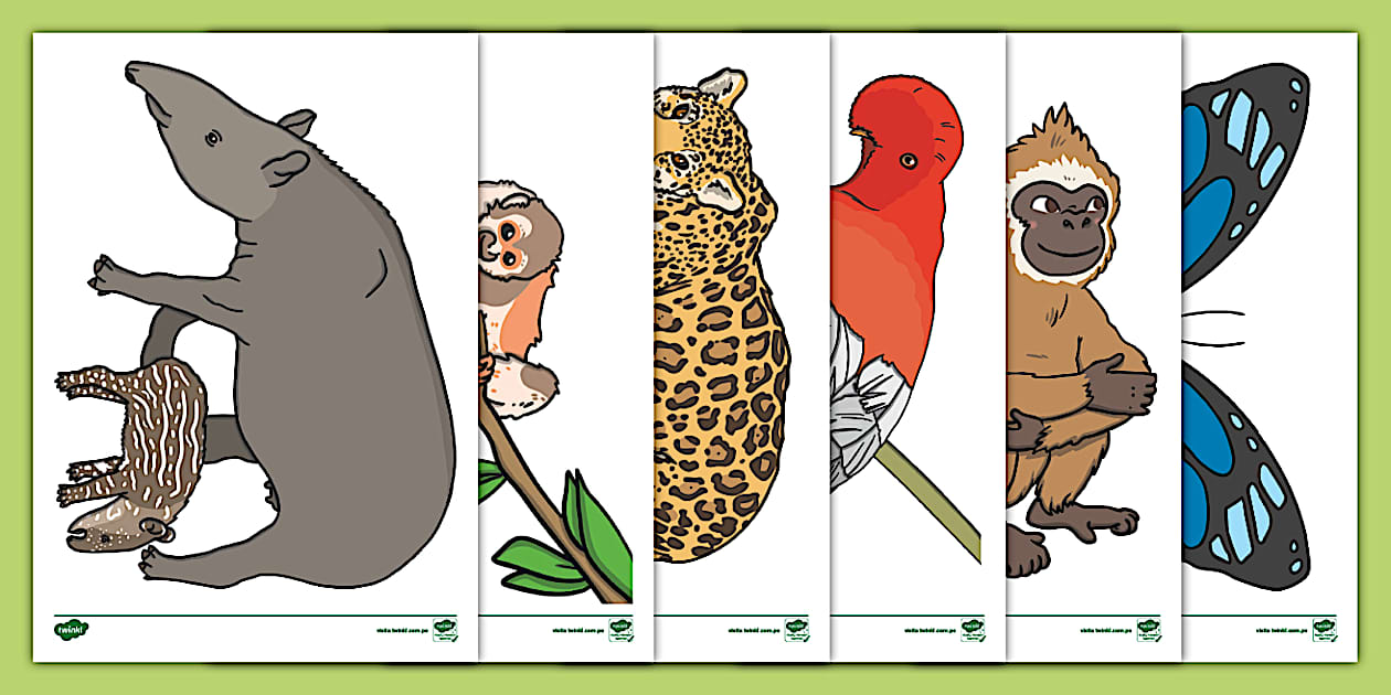 Animales de la selva peruana para recortar - Twinkl