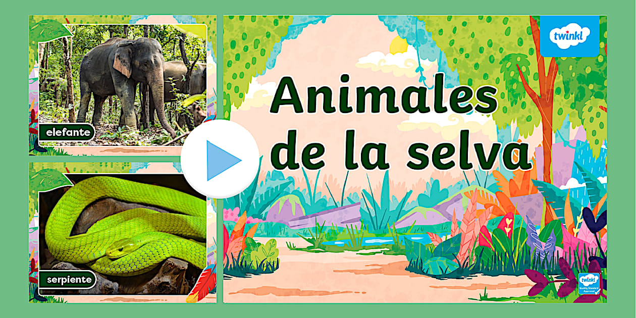 PowerPoint: fotos de animales de la selva (teacher made)