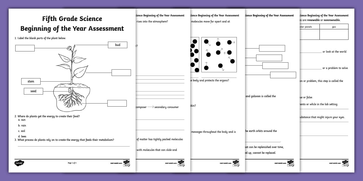 Fifth Grade Beginning of the Year Science Assessment