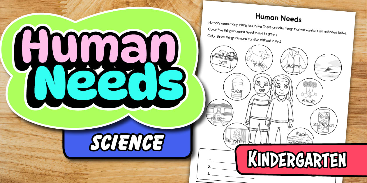 Kindergarten Human Needs: Color and Write Worksheet - Twinkl