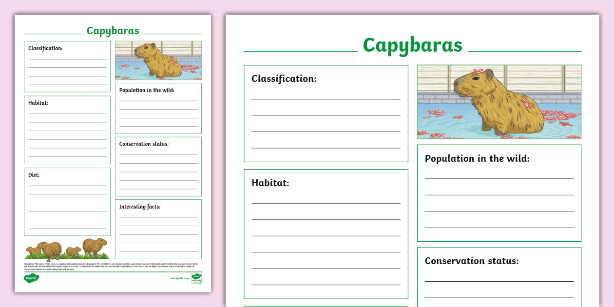 Capybara Fact File Template | Animal Resources - Twinkl