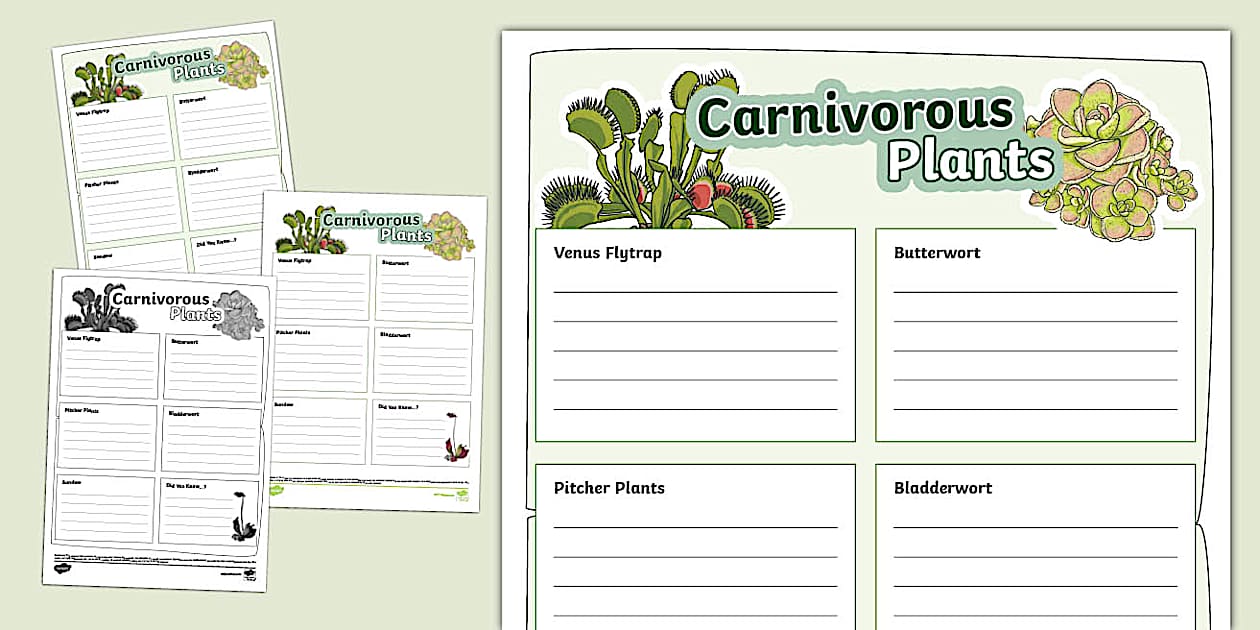 Carnivorous Plants Fact File Template (teacher made)