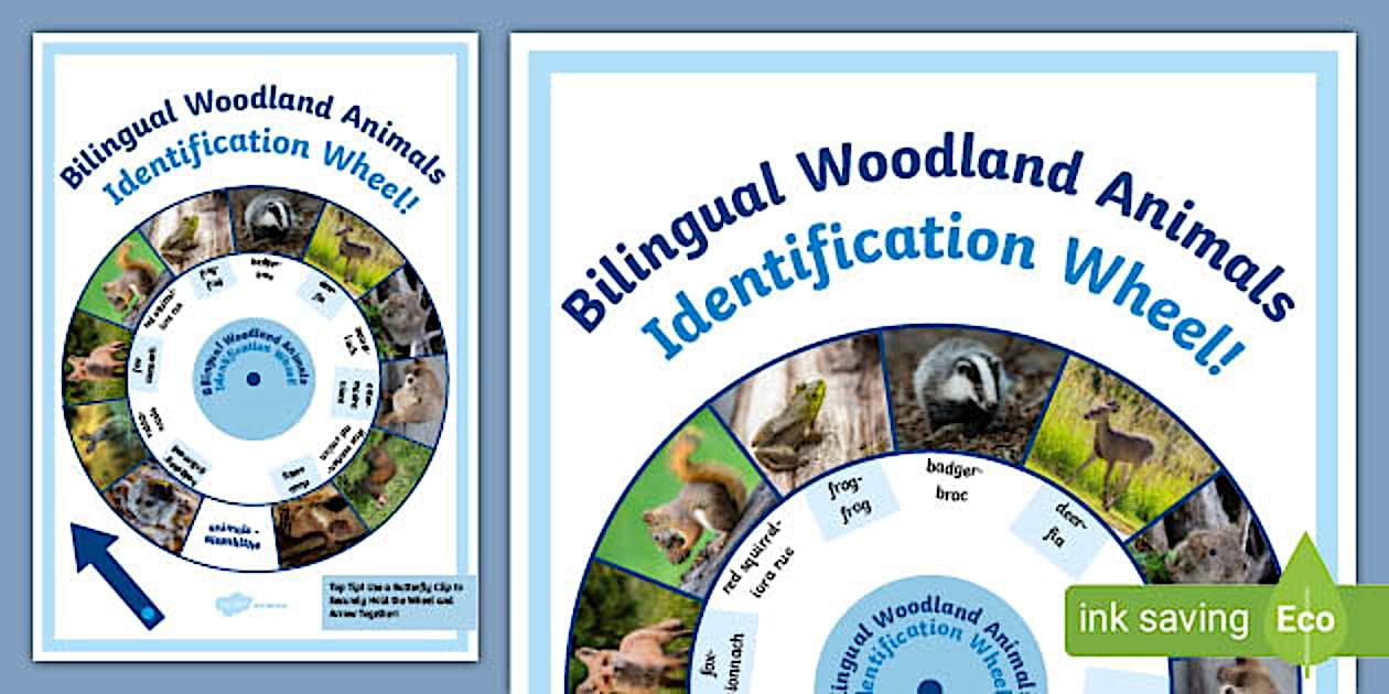 Editable Bilingual Woodland Animals Identification Wheel
