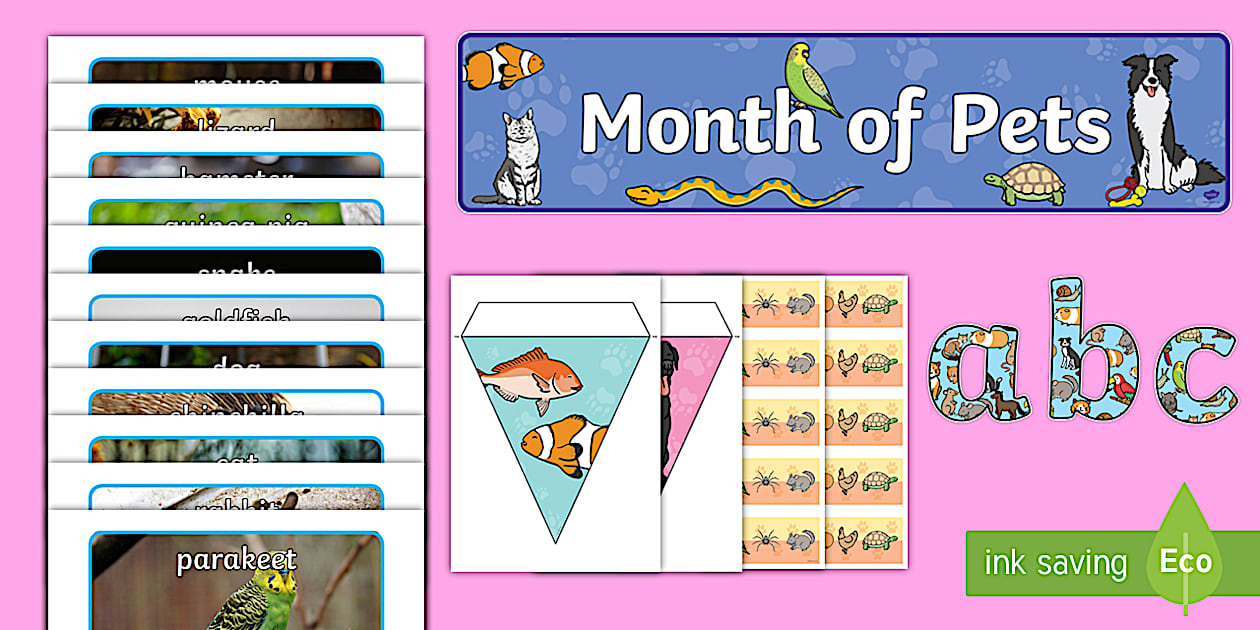 KS1 Month of Pets Display Pack (teacher made) - Twinkl